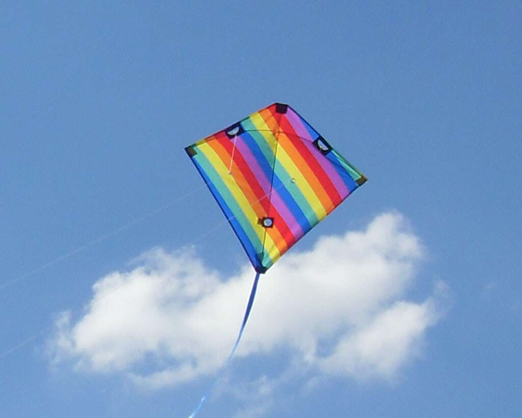 Acro Racer Stuntvlieger kopen? Wepa Flyer Vliegershop