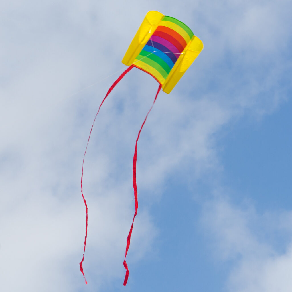 Beachkite RAINBOW | Wepa Flyer